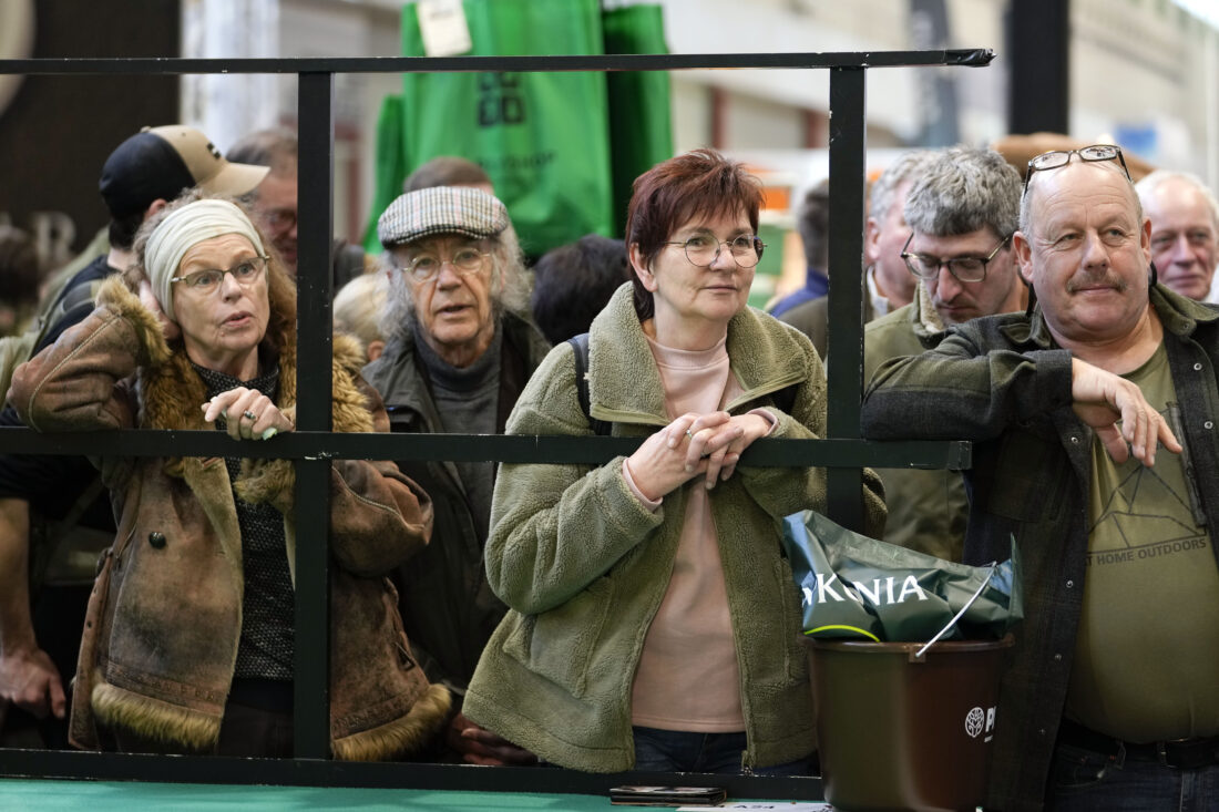 Think you can bellow like a stag? German hunters compete in a national ...